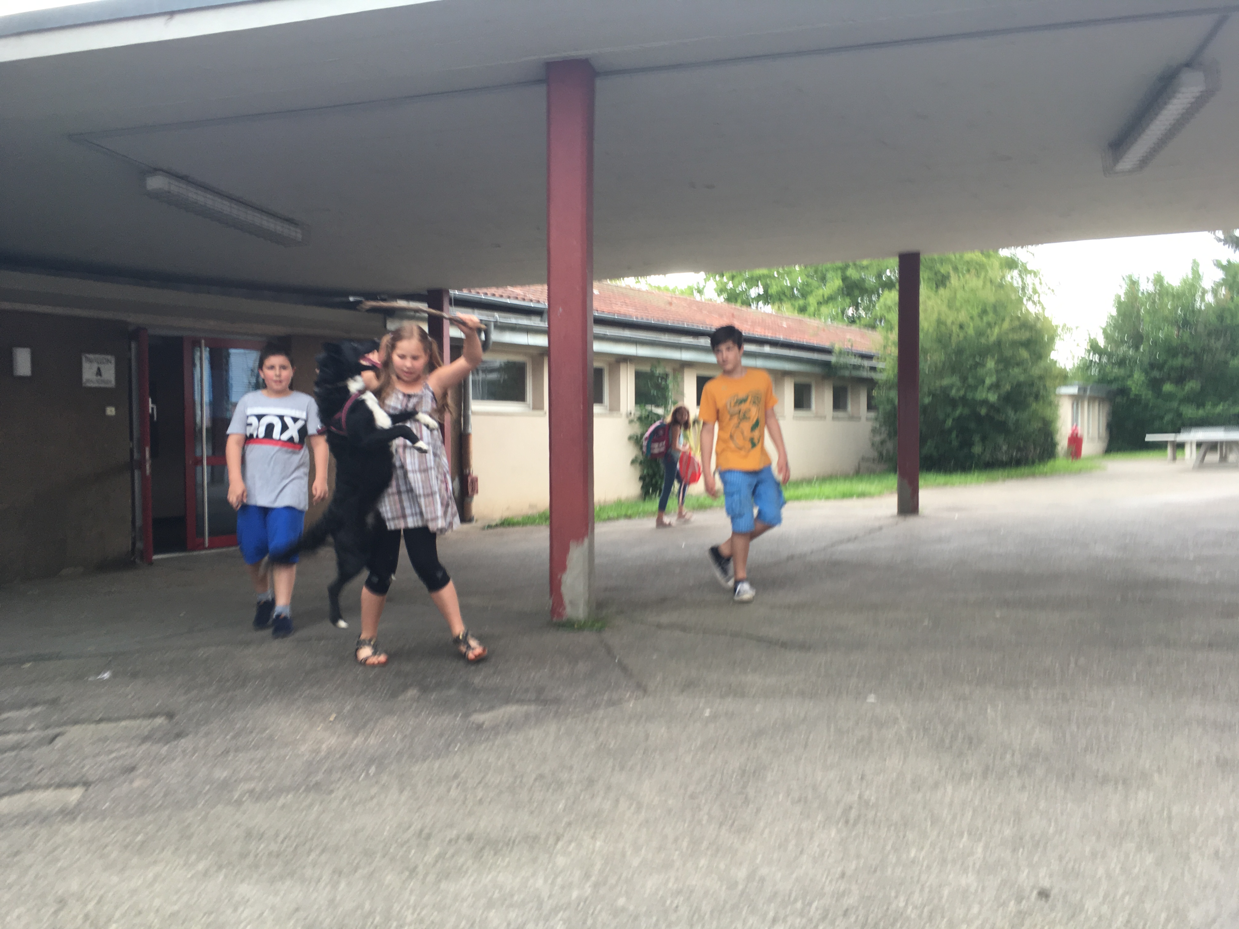 Schöpfung live – im Unterricht – RSF – Realschule Feuerbach